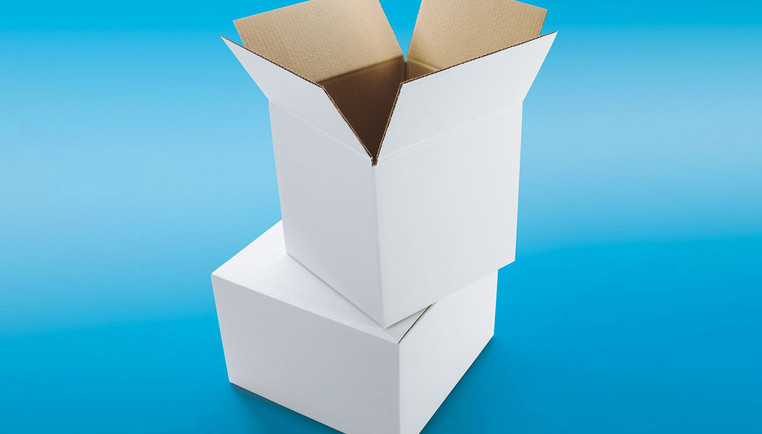 How To Make A Home Moving Packing List | The Container Store